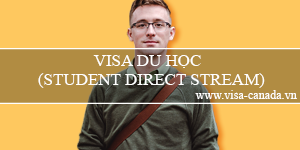Visa du học Canada (Student Direct Stream) | visa-canada.vn